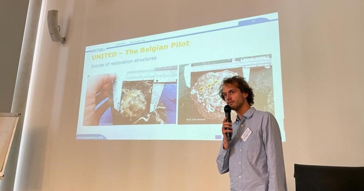 Looking back on a successful Blue Sessions Day | Blue Cluster