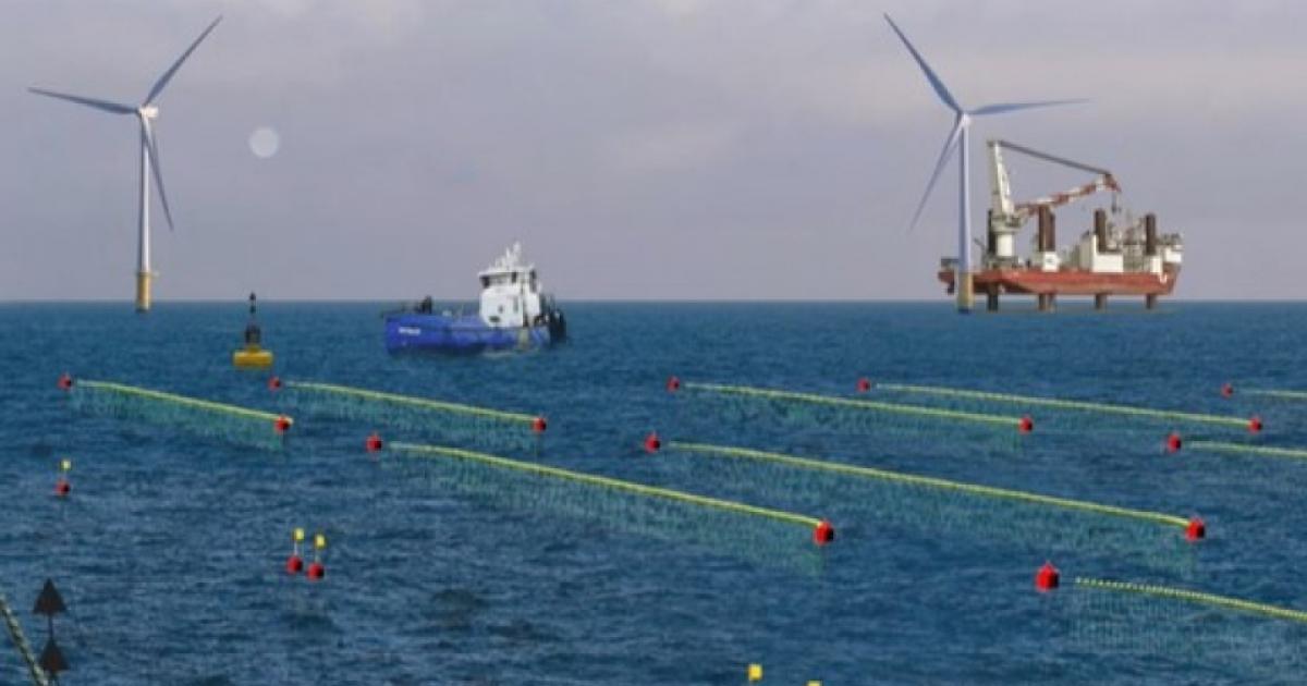 Sustainable Blue Economy: international discussion in Brussels | Blue ...