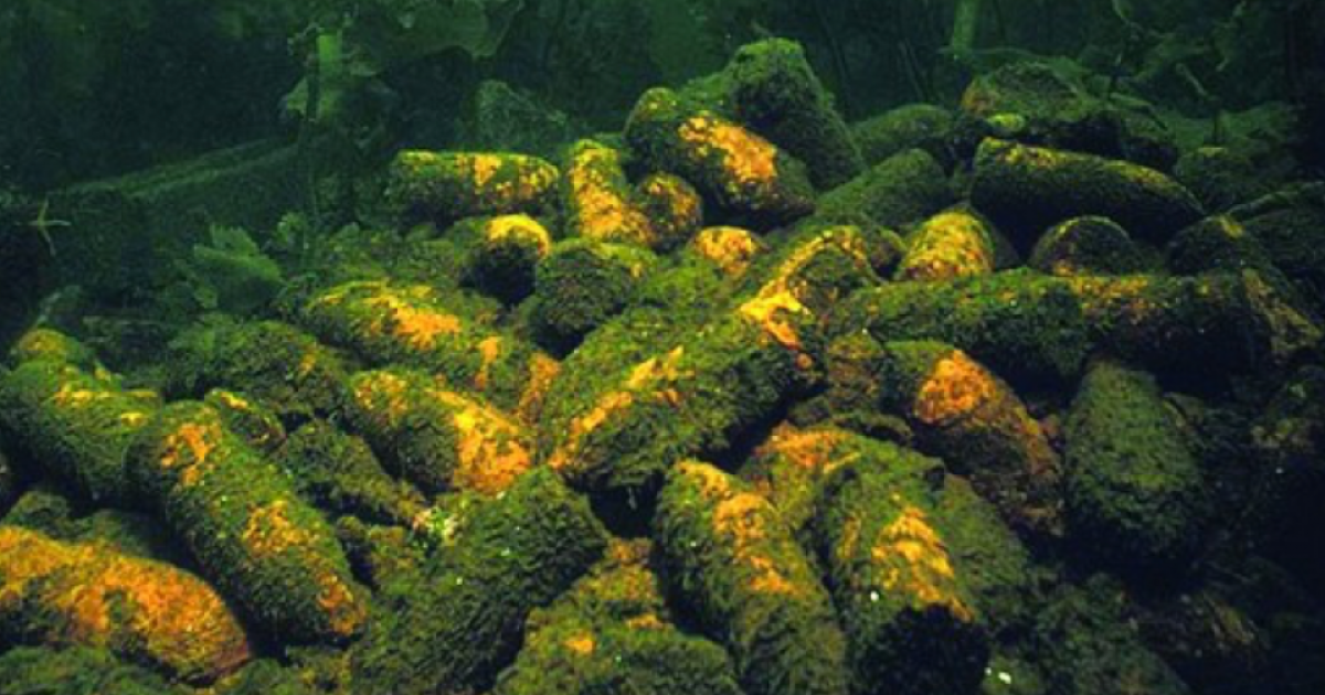 New call within the DISARM project framework | Blue Cluster