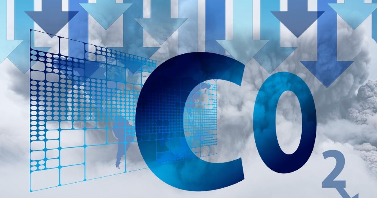 Look back on the info session on the CO2 performance ladder | Blue Cluster