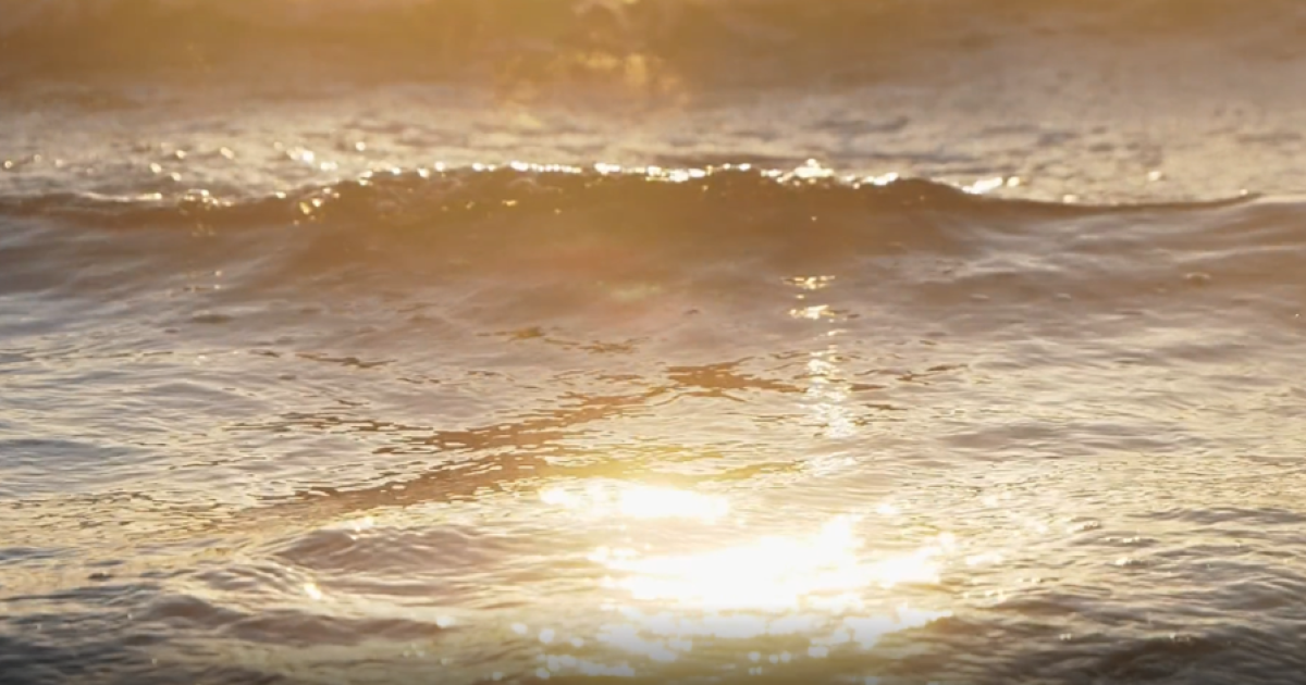 Blue Cluster - Network of innovative organizations in the sustainable ...