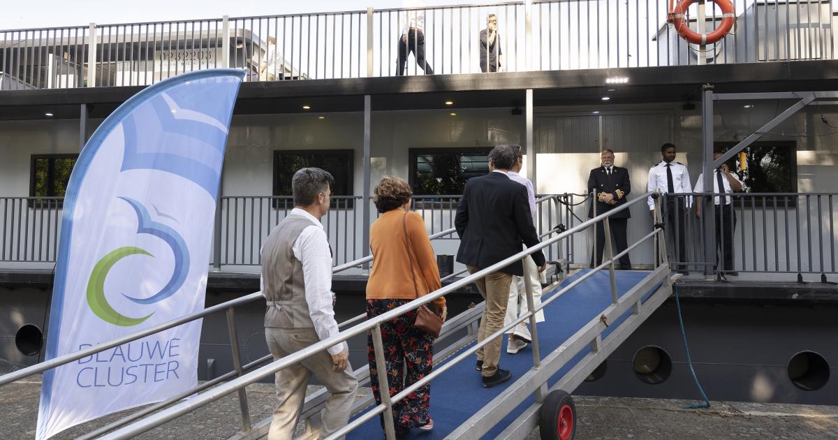 Blue Night 2022 | Blue Cluster