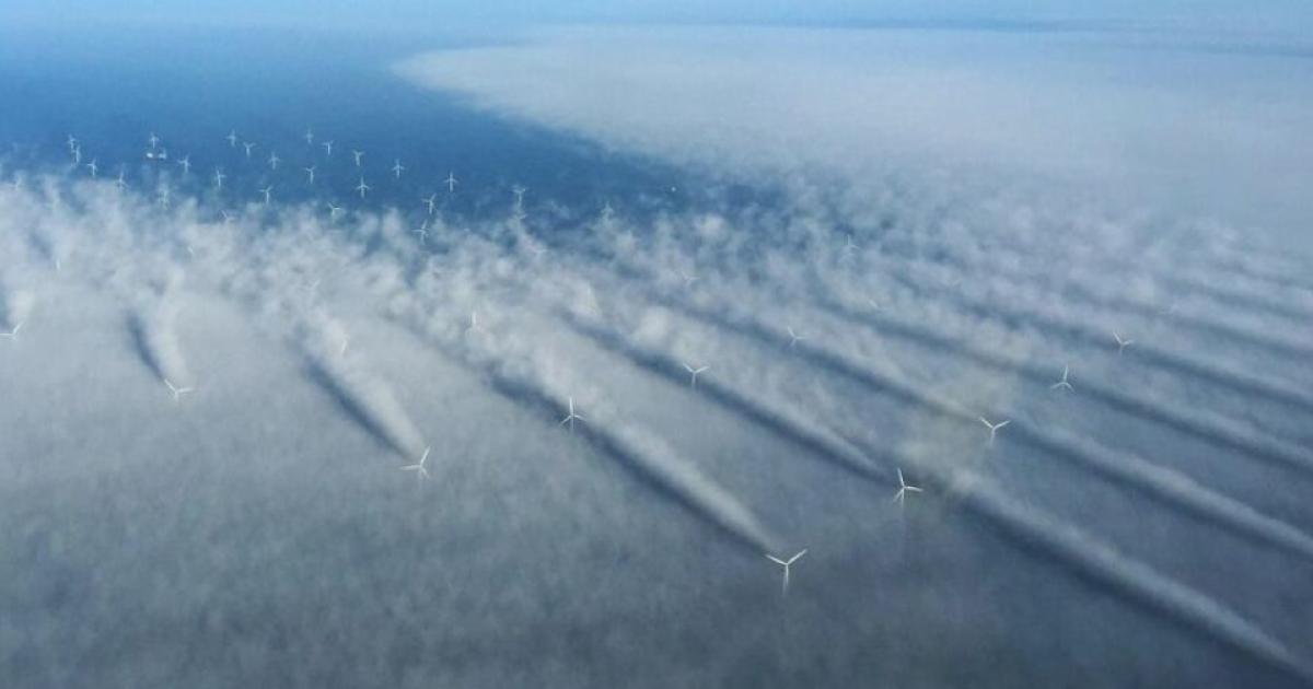 In the wake of offshore wind turbines | Blue Cluster