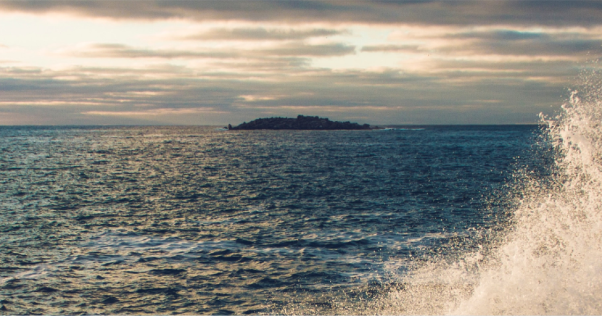 OASIS | Blue Cluster