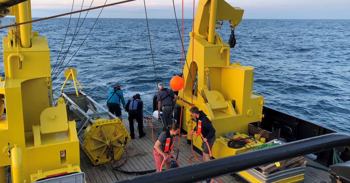 Insights into the substrate of the Princess Elizabeth Zone | Blue Cluster