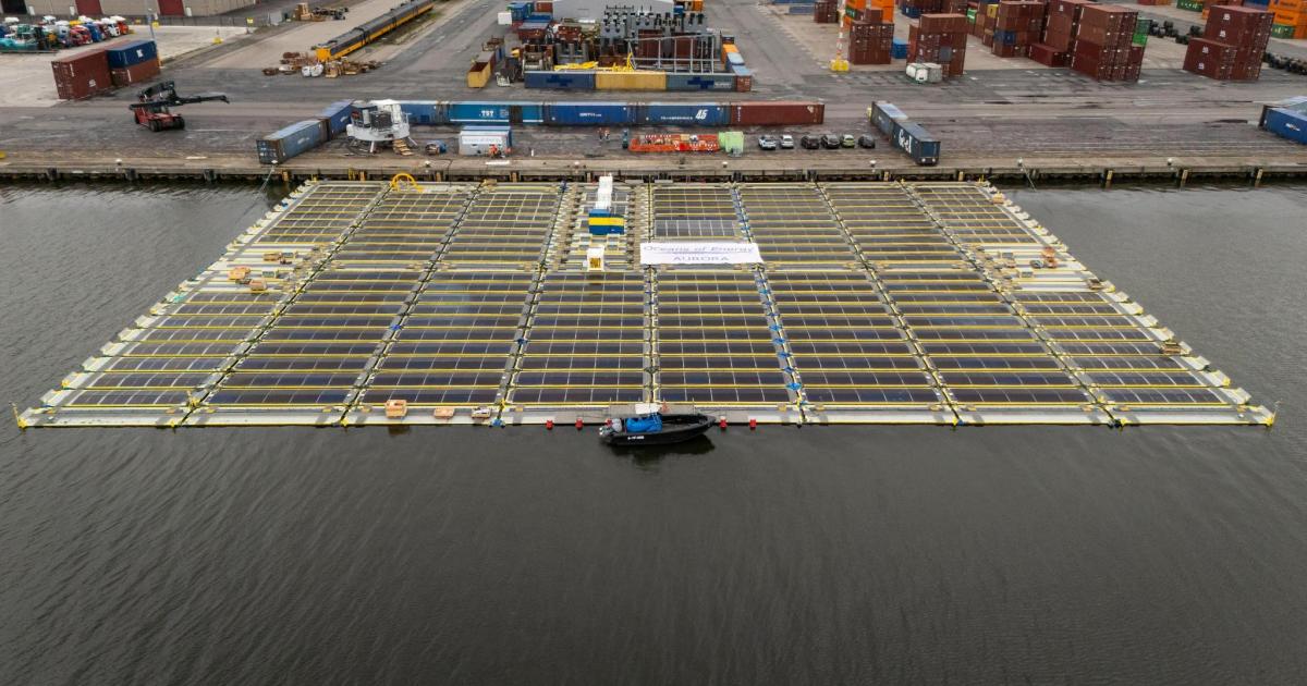 First floating solar farm within offshore wind farm ready for ...