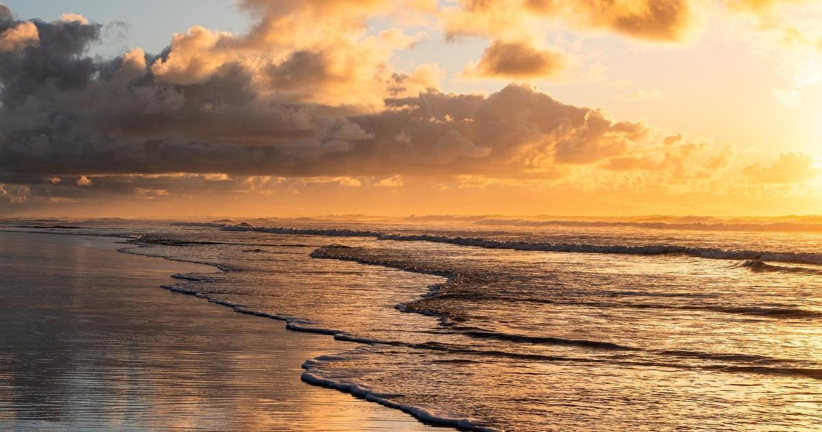 Submit your application for Blue Cluster's twentieth project call | Blue Cluster